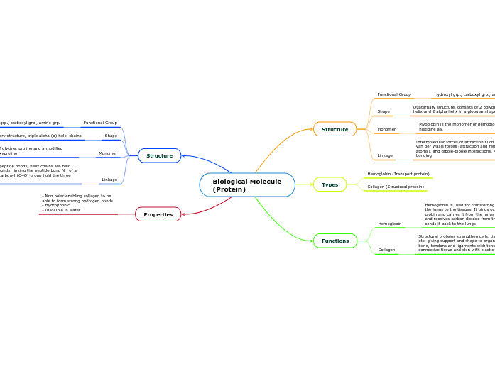 Biological Molecule (Protein) - Mind Map